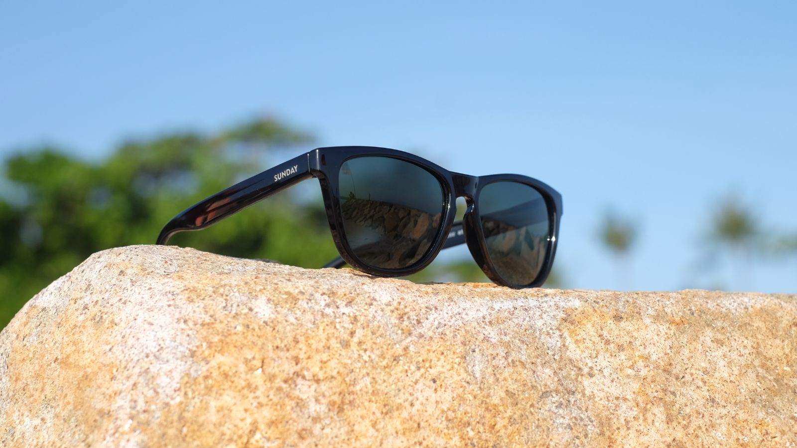 Sunday Shades Look This Way Classic - Polarised Sunglasses with 100% UV ...