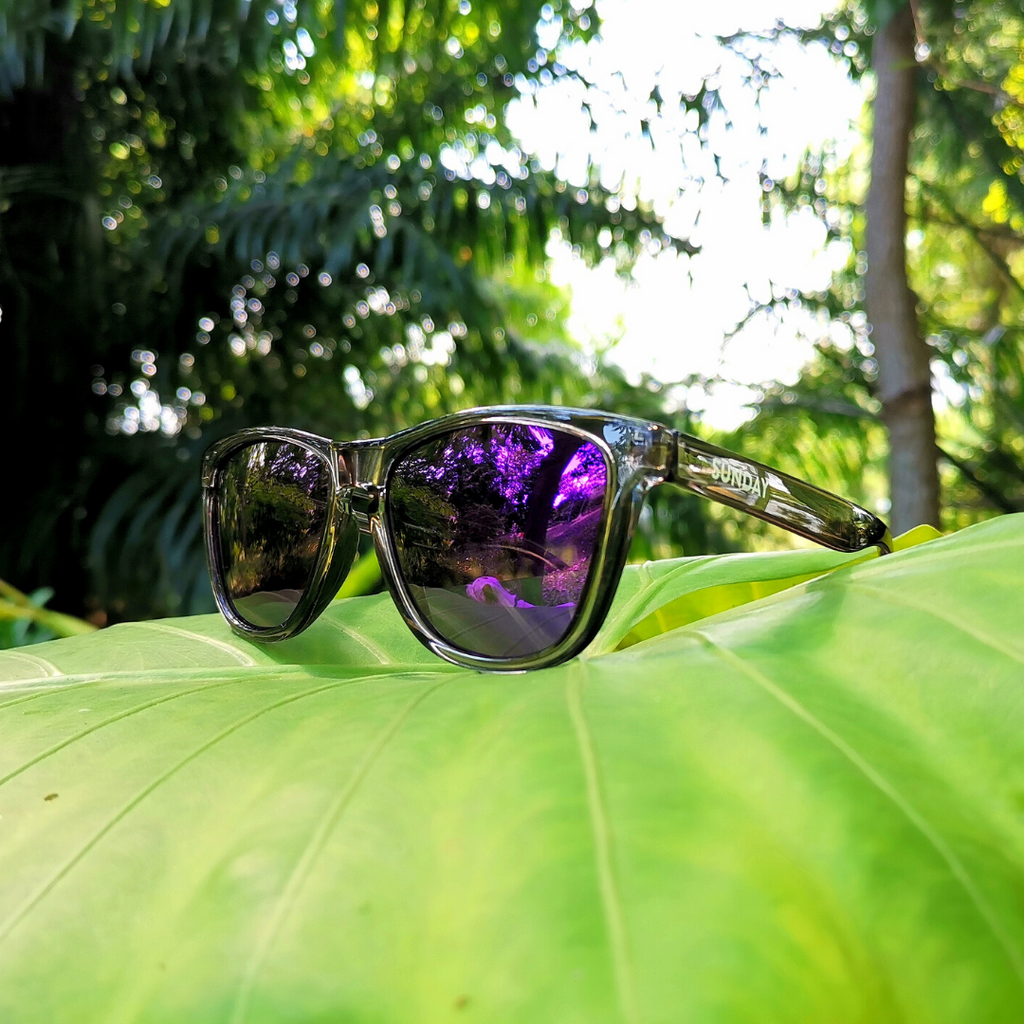 LUCID GREY VIOLET CLASSIC - Polarised Sunglasses with 100% UV ...